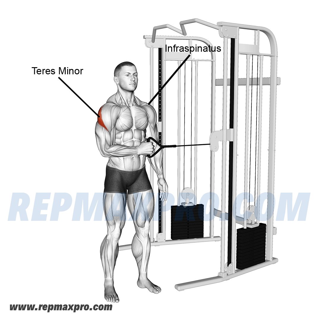 Shoulder External Rotation with Cable – repmaxpro.com